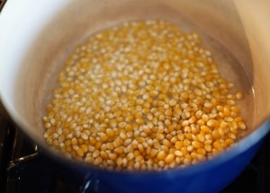 Stovetop Popcorn | Baked Bree