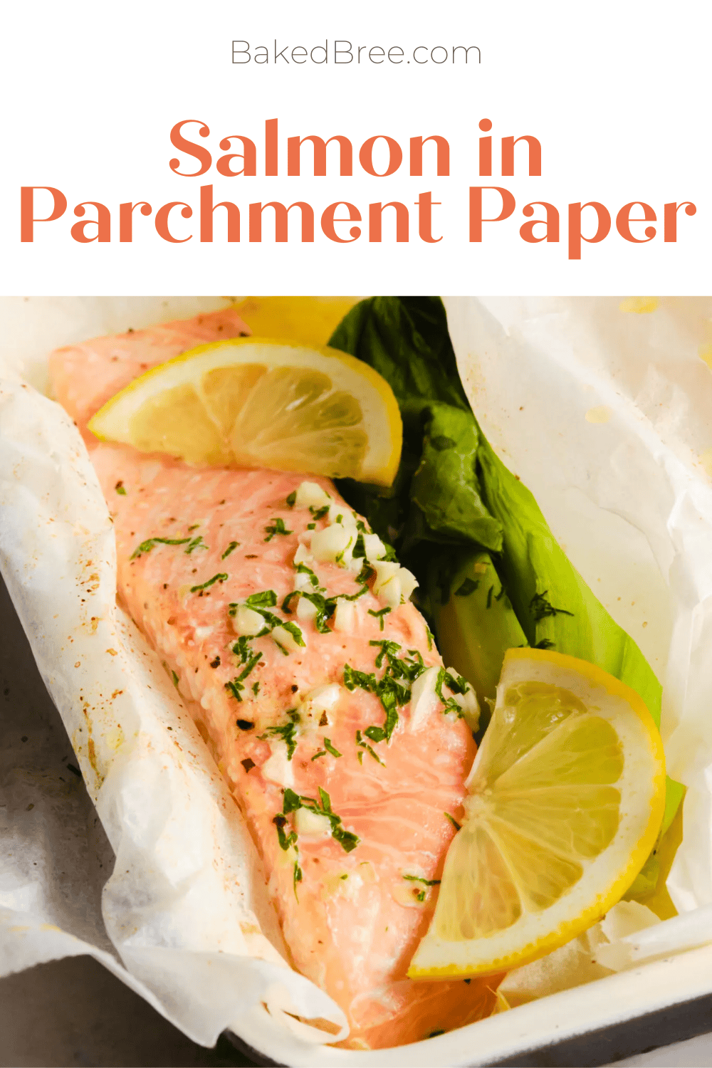 Salmon in Parchment Paper | Baked Bree