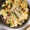 Easy Brie Pasta Recipe | Baked Bree