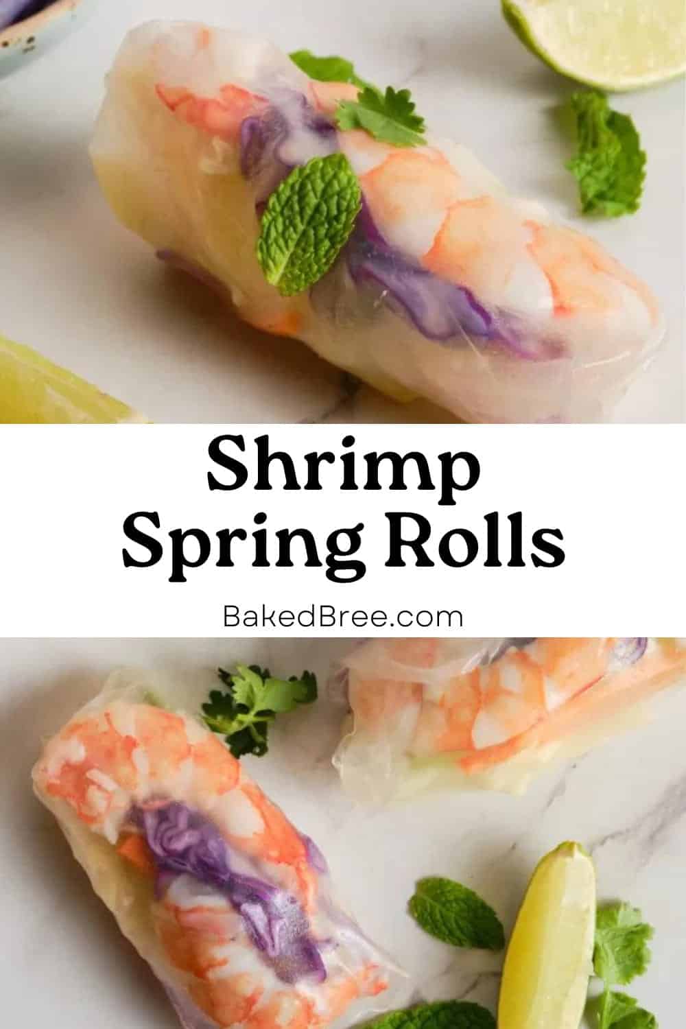 How to Make Fresh Shrimp Spring Rolls | Baked Bree