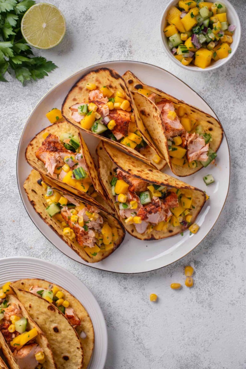Salmon Tacos | Baked Bree