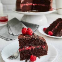 Chocolate Raspberry Cake | Baked Bree