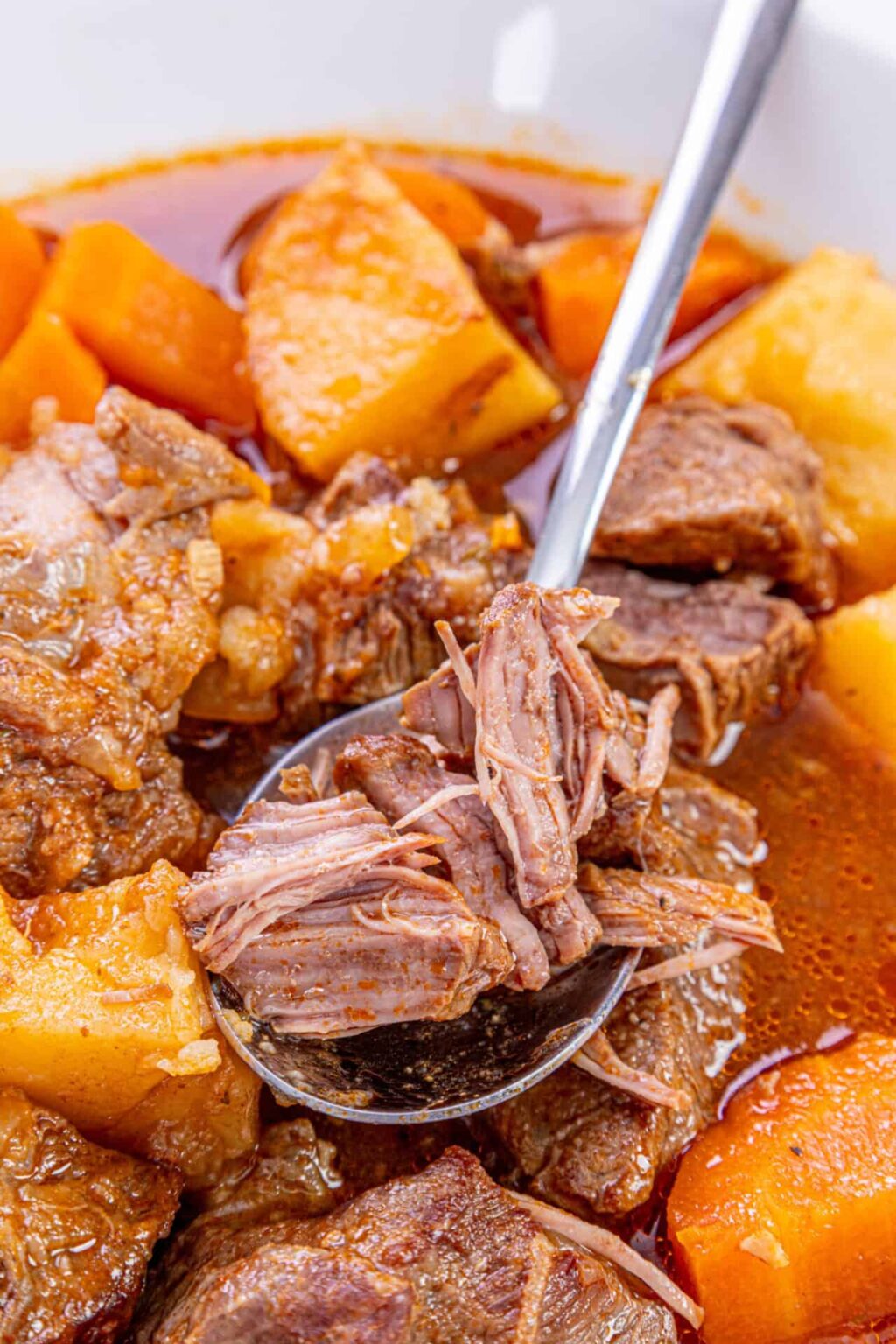 Dutch Oven Beef Stew | Baked Bree