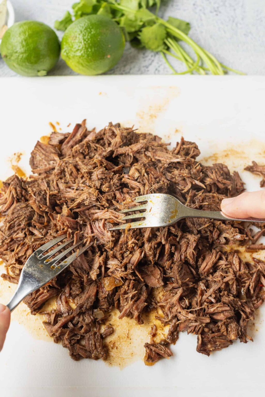 Barbacoa | Baked Bree